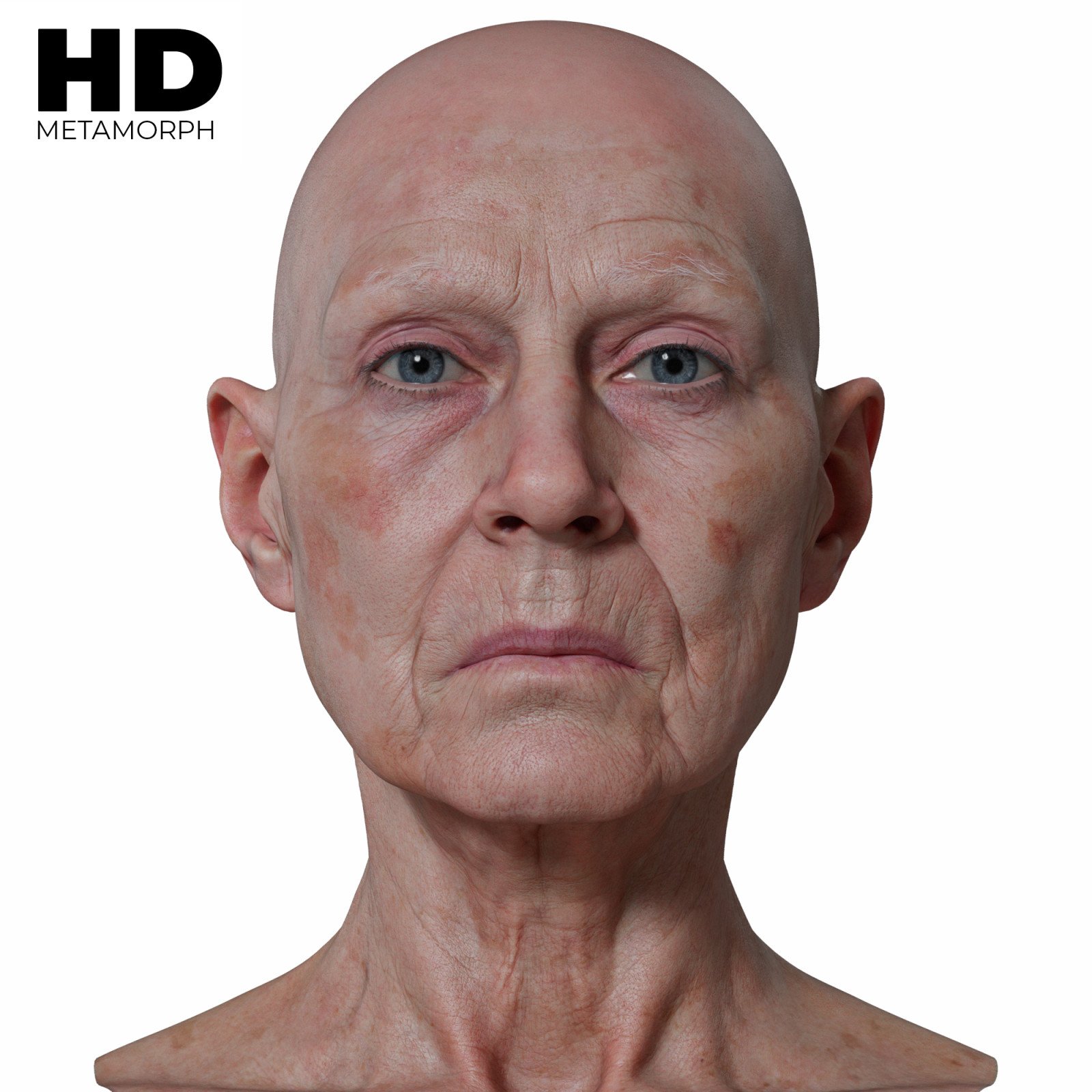 Metamorph 3d head models